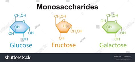 모노사차라이드의 화학적 삽화 포도당 과당 갈락토스 스톡 벡터 로열티 프리 2211684449 Shutterstock