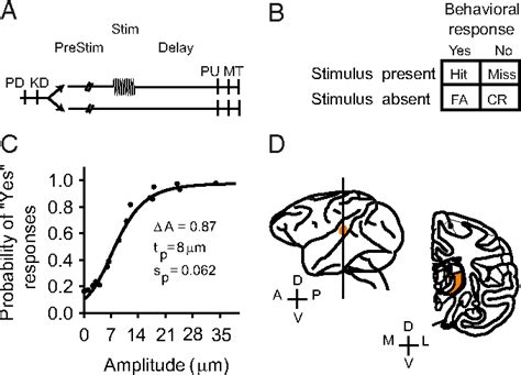 figure 1 from neural coding and perceptual detection in the primate