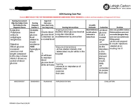 1 Nursing Care Plan Diabetic Care Plan Name Perm6d K Care Plan 9