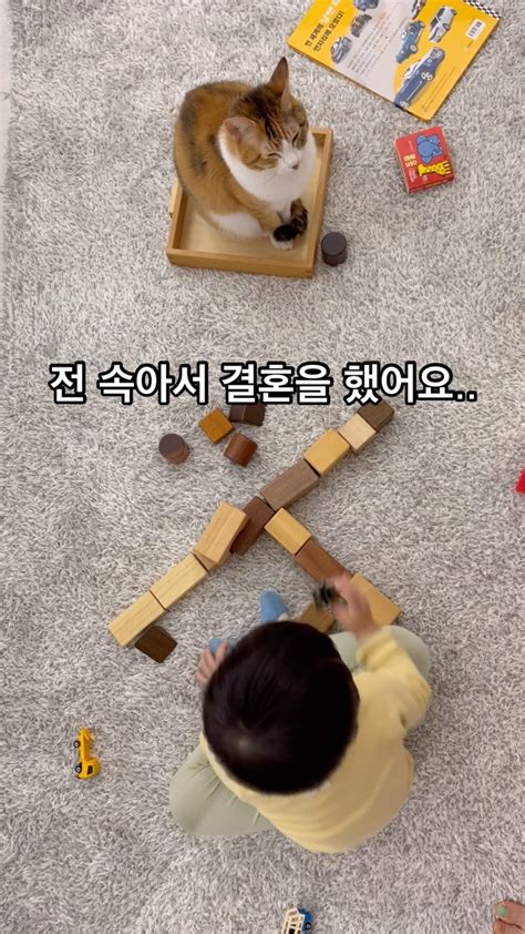 Ohohoh4581 사기결혼두번째 이야기 결혼을 망설이게 했던 신랑의 효심 쌍방이 아닌 일방 효자였죠🤣🤣 네 저희 신랑은 일방통행 효자였어요 ㅋ ㅋ 결혼후