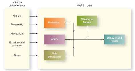 Diagram Individual Behaviour Personality And Values Quizlet