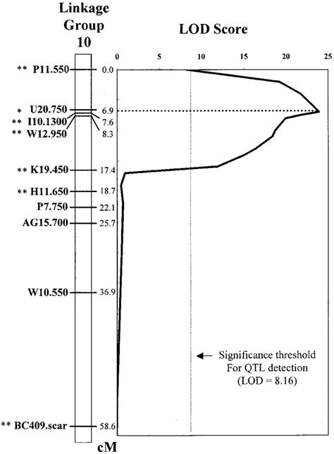 Log Likelihood Ratio For Qtl Detection Along Common Bean Linkage Group