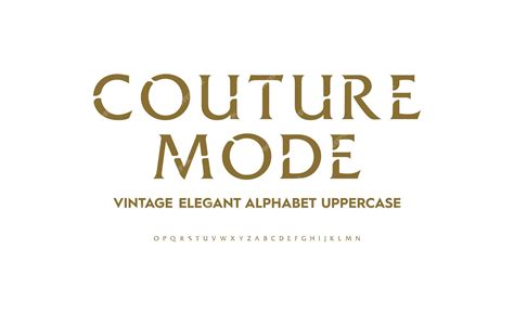 우아함 알파벳 세리프 글꼴 및 숫자 클래식하고 미니멀한 타이포그래피 패션 프리미엄 벡터