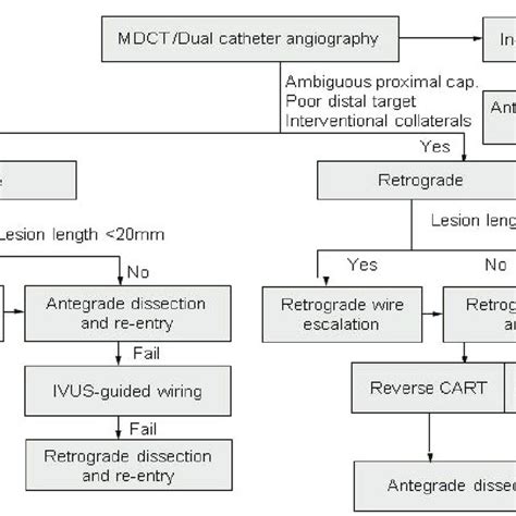 algorithm of putting it altogether expanded hybrid algorithm in cto