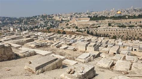 설교문 예수님의 예루살렘 입성마211 11한국 교회의 나침반 뉴스파워kr