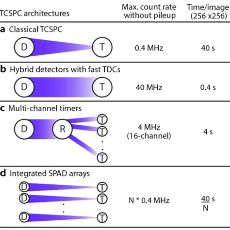 Four Different Sensor Architectures For TCSPC FLIM A Classical TCSPC Download Scientific
