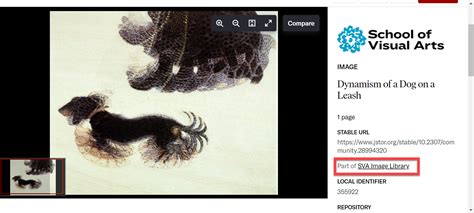 Searching Browse Collections Jstor Support