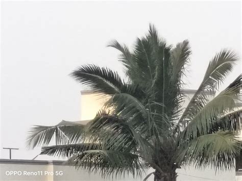 OPPO Reno11 Pro Review A Minor Reno Vation