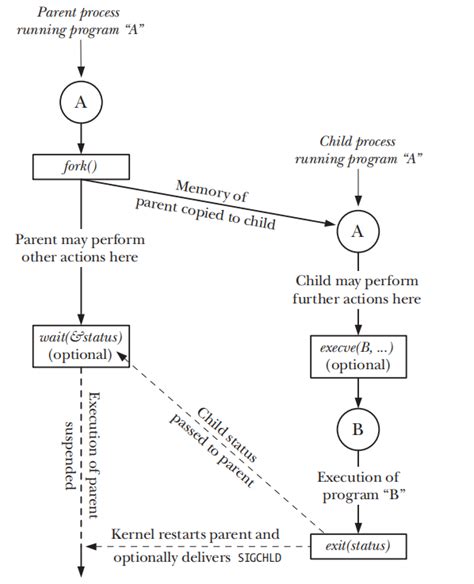 Socket编程（二）：每个进程服务一个连接 Voidint 个人博客