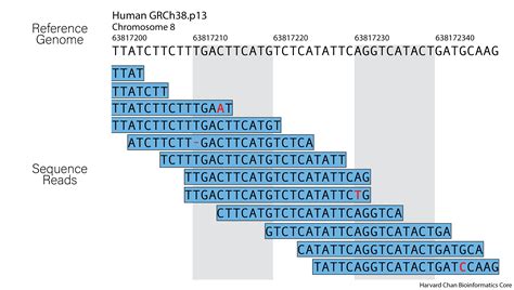 sequence alignment variant analysis