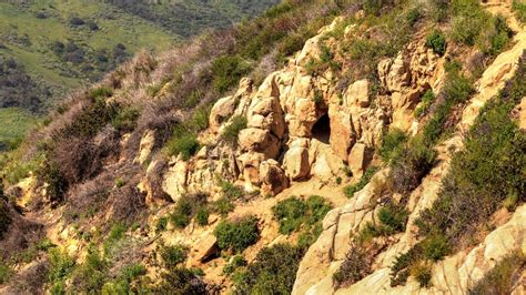 What A Coyote Den Looks Like — And How To Notice One While Hiking