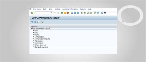 How To Check Authorizations In Sap Hicron