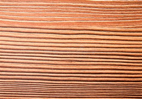 Secoya Imagen Fina Del Fondo De Madera Natural De La Textura Foto De