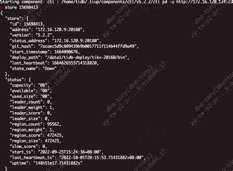 Tidb 集群无法启动 Tidb 的问答社区