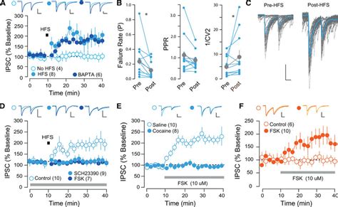 Hfs Induced Ltp At D1 Vp Synapses Is Presynaptic And Pka Dependent Download Scientific Diagram
