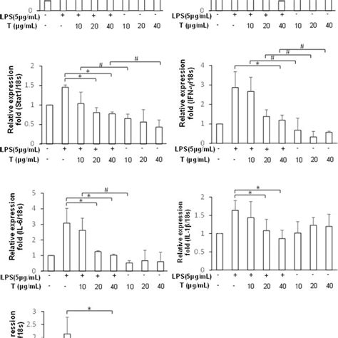 Testosterone Downregulated The Protein Levels Of Jak Stat1 Signaling
