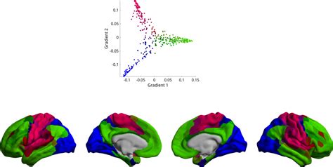 Tutorial 1 Building Your First Gradient — Brainspace 014 Documentation