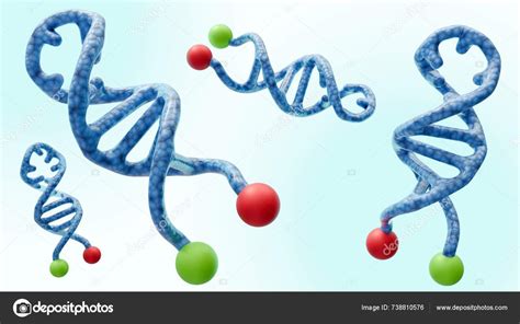 Rendering Molecular Beacons Dna Probes Designed Detect Specific Nucleic