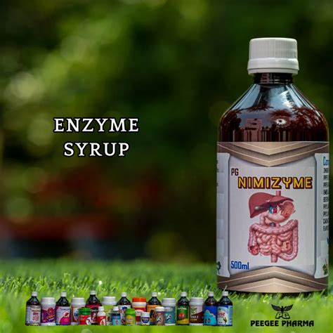 Pg Nimizyme Syrup Enzyme Syrup Bottle Of 500 Ml At ₹ 550 Bottle In Salem