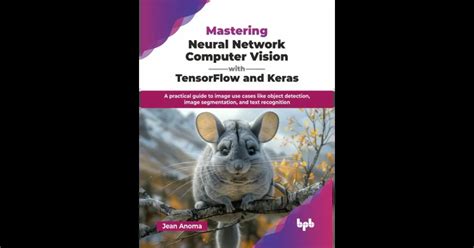 Mastering Neural Network Computer Vision With Tensorflow And Keras Padhega India