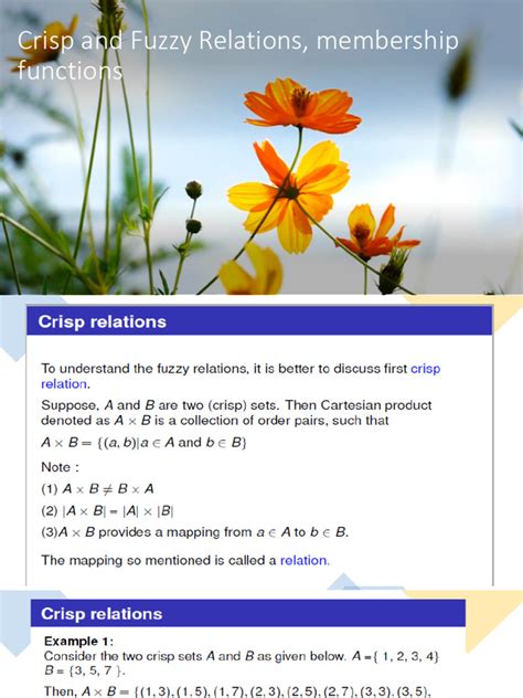 Chp4 Crisp And Fuzzy Relation Membership Functions1 Pdf Function