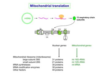 Genetic Heterogeneity Of Mitochondrial Disorders Agnès Rötig Pptx