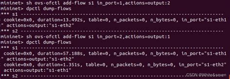 Sdn实验 Mininet实验一sdn 实验 Csdn博客