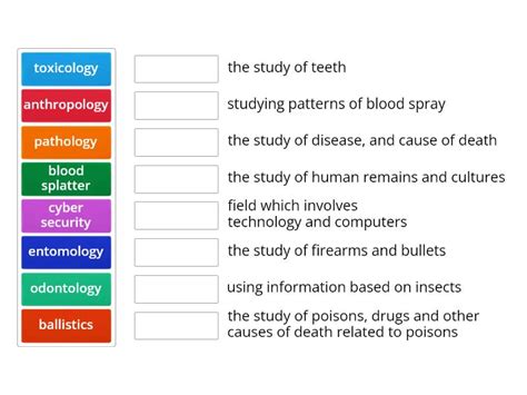 Areas Of Forensic Sciene Match Up