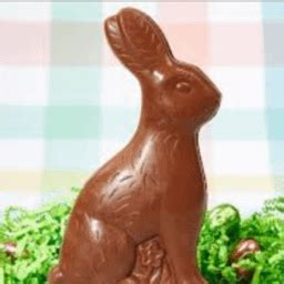 Chocolate Bunnies