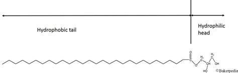 Emulsifiers Baking Ingredients Bakerpedia