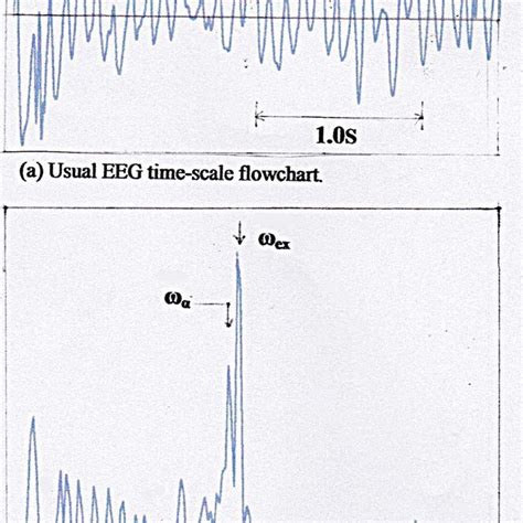 Comparison Of EEG Timescale Flowchart A And The Frequency Spectrum