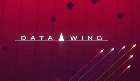 Developer Programador Informatico Softwareengineer Programacion