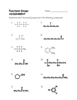 Functional Group Practice And Assignment By M Kendall TPT