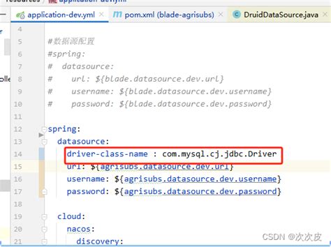 Java项目（nacos）启动时报错cannot Load Driver Class Orgpostgresqldriver Ew帮帮网