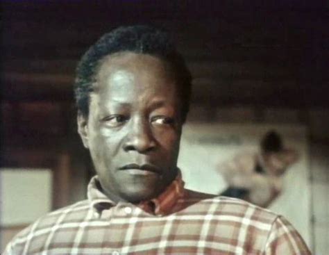Brazilian Born Actor Beaten To Death
