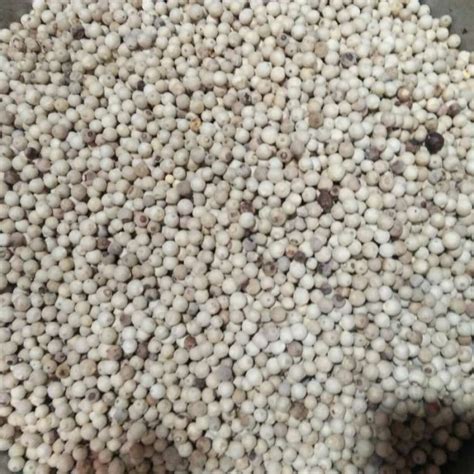 Promo Lada Biji 1kg Diskon 33 Di Seller VIRGO STOREE Meruya Selatan Udik Kota Jakarta