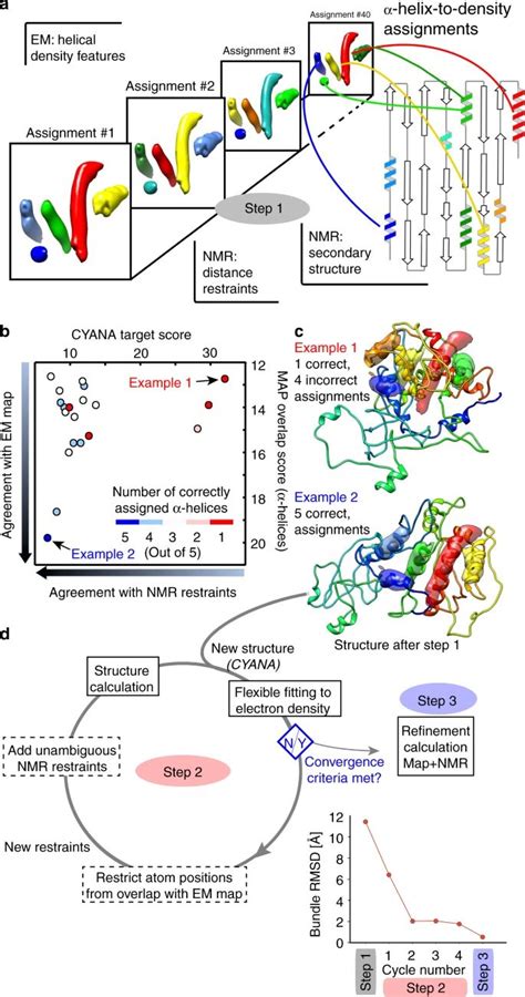 Integrated Nmr And Cryo Em Atomic Resolution Structure Determination Of A Half Megadalton Enzyme