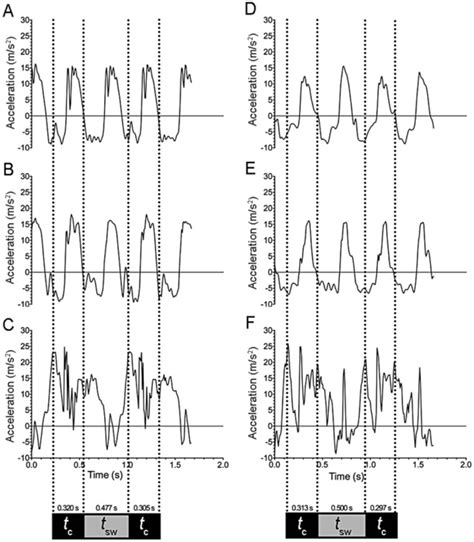 Accelerometer Output For Total Accelerations XYZ Planes Versus Time Download Scientific