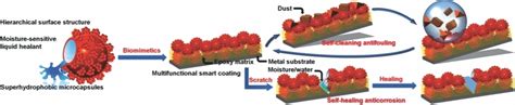 A Versatile Approach Towards Multifunctional Robust Microcapsules With