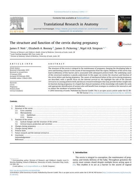 Pdf The Structure And Function Of The Cervix During Pregnancy
