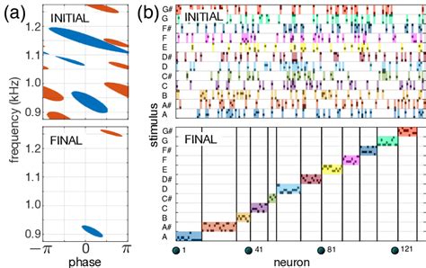 Learning Musical Stimuli A Receptive Fields Of Two Neurons In The