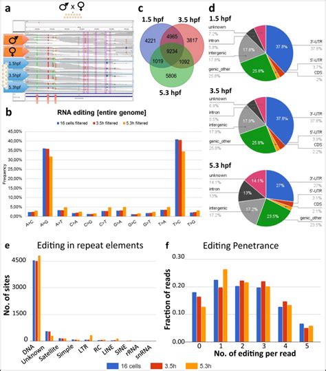a to i rna editing sites in early embryonic development a schematics of