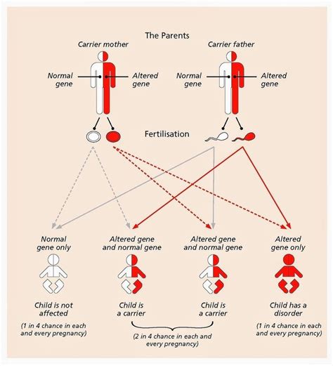 match the genetic disorder with its pattern of inheritance