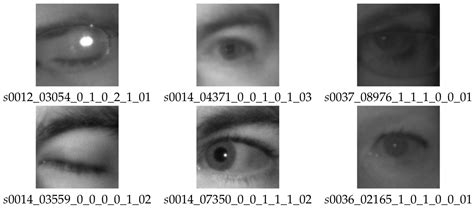 Github Sandraanimon Driver Drowsiness Detection Using Deep Learning