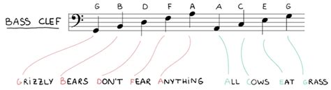 How To Read Bass Sheet Music A Beginners Guide Nkoda