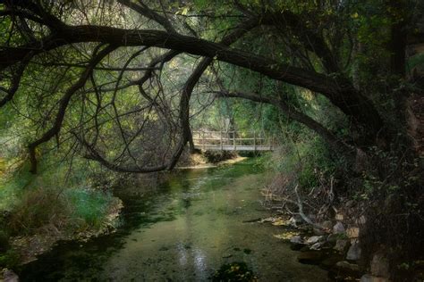 Top Photo Spots At Rio Ebron In 2024