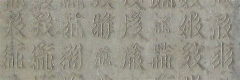 Sea Of Tangut Characters