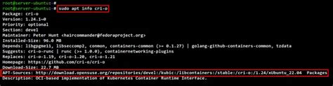 How To Install CRI O Container Runtime On Ubuntu 22 04