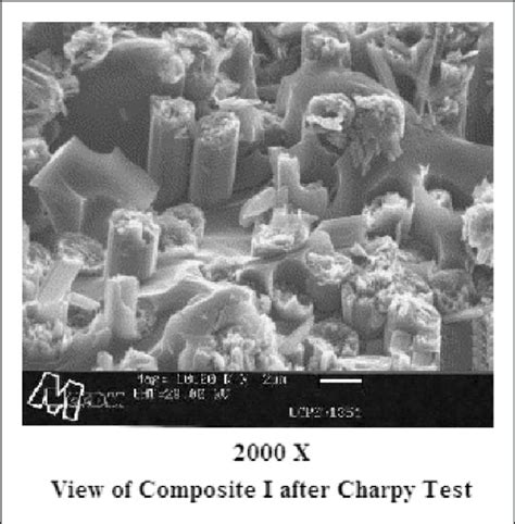 Sem Micrograph Of Composite I Download Scientific Diagram