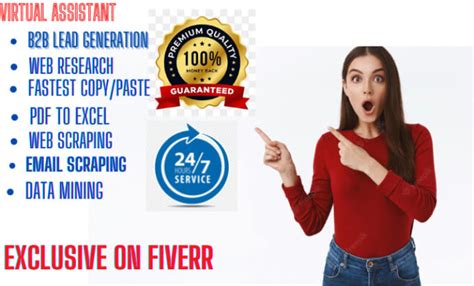 Lead Generation Copy Paste Web Research Data Mining By Datadock Fiverr